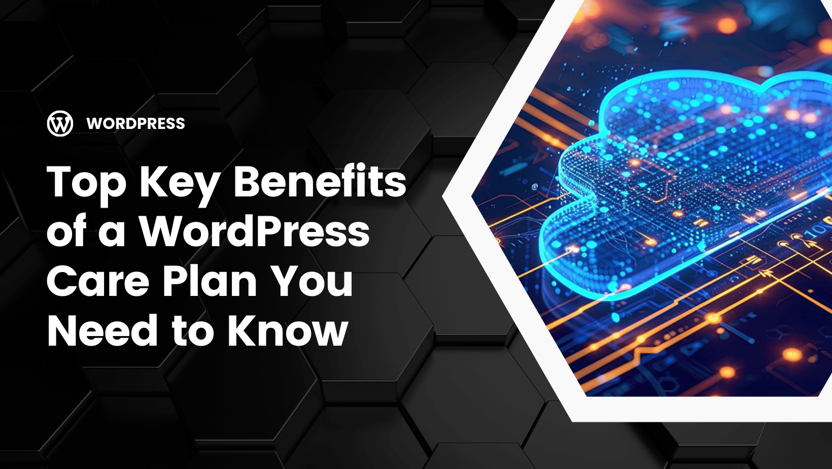 Top Key Benefits of a WordPress Care Plan You Need to Know - SmartHost